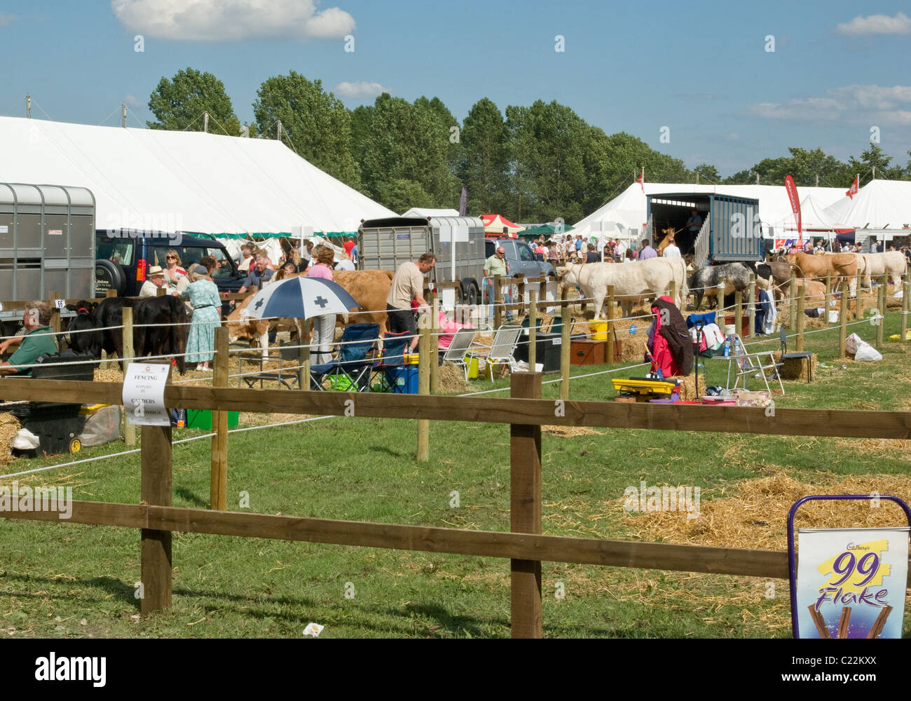 Driffield show cattle hi-res stock photography and images - Alamy