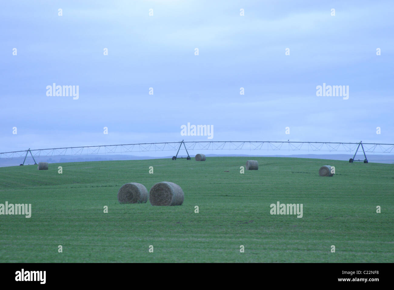 Hay bales in front of pivot irrigation equipment Stock Photo - Alamy