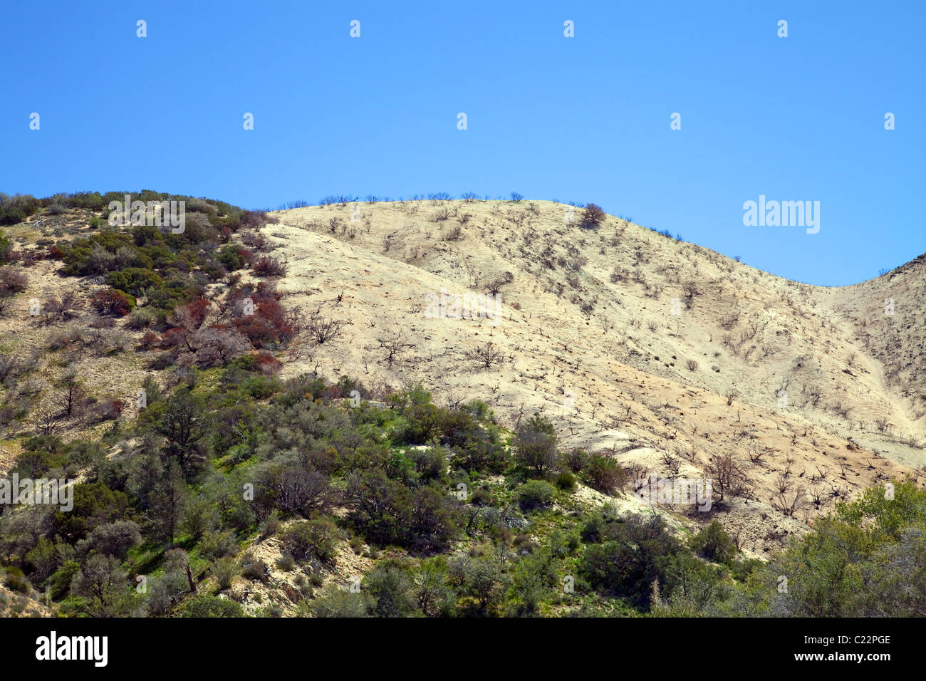 Rural fire station hi-res stock photography and images - Alamy