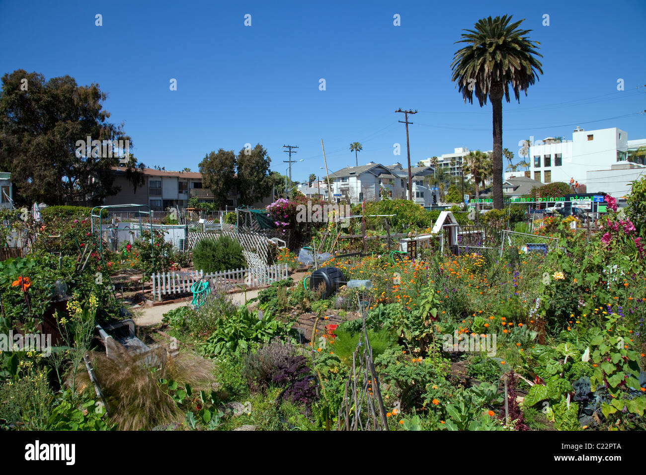 Santa monica community garden hi-res stock photography and images - Alamy