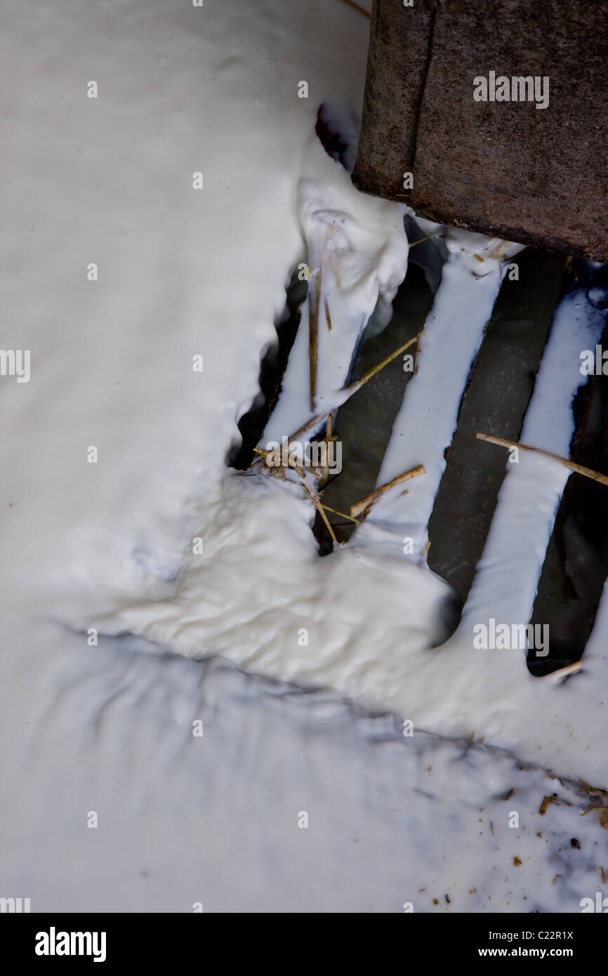 Milk waste drain hi-res stock photography and images - Alamy