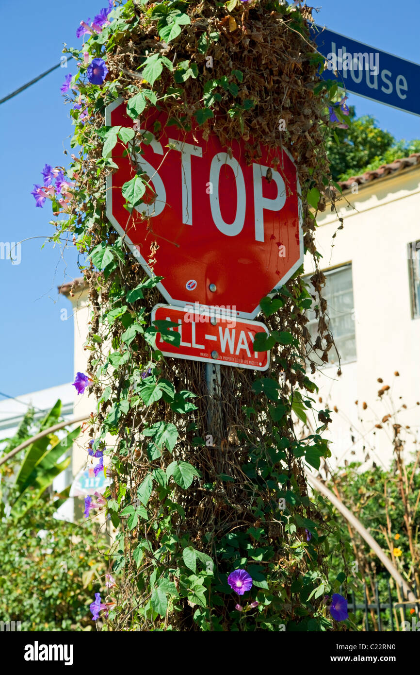 Overgrown Stop sign in front of LA Eco-Village Stock Photo - Alamy