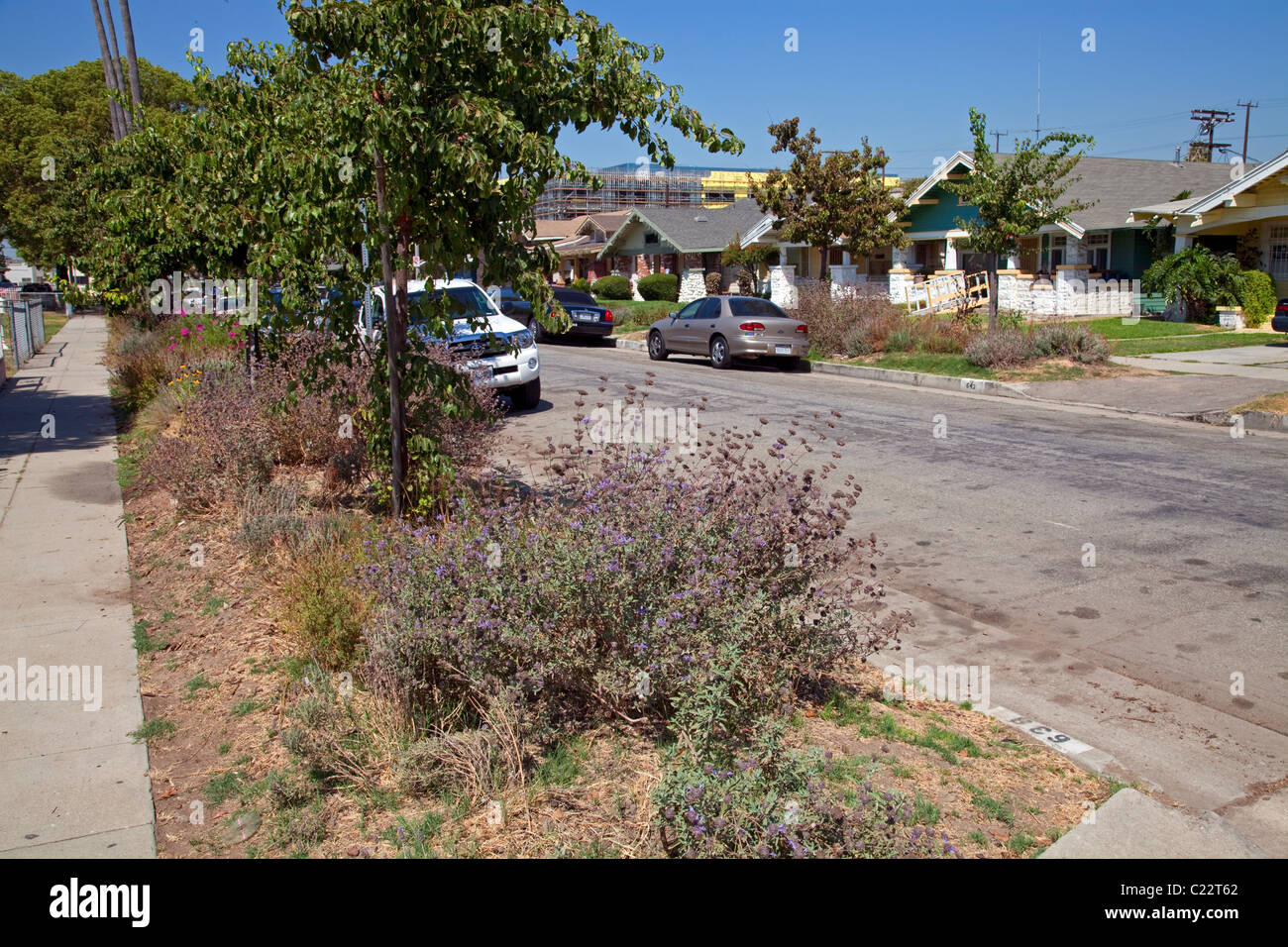 South Central Los Angeles Hi Res Stock Photography And Images Alamy