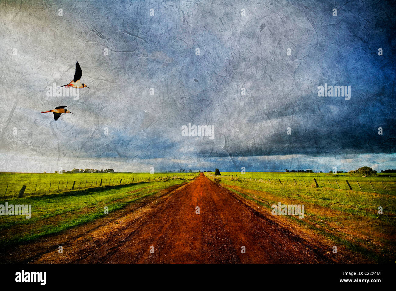 Country road with birds on distressed paper Stock Photo - Alamy