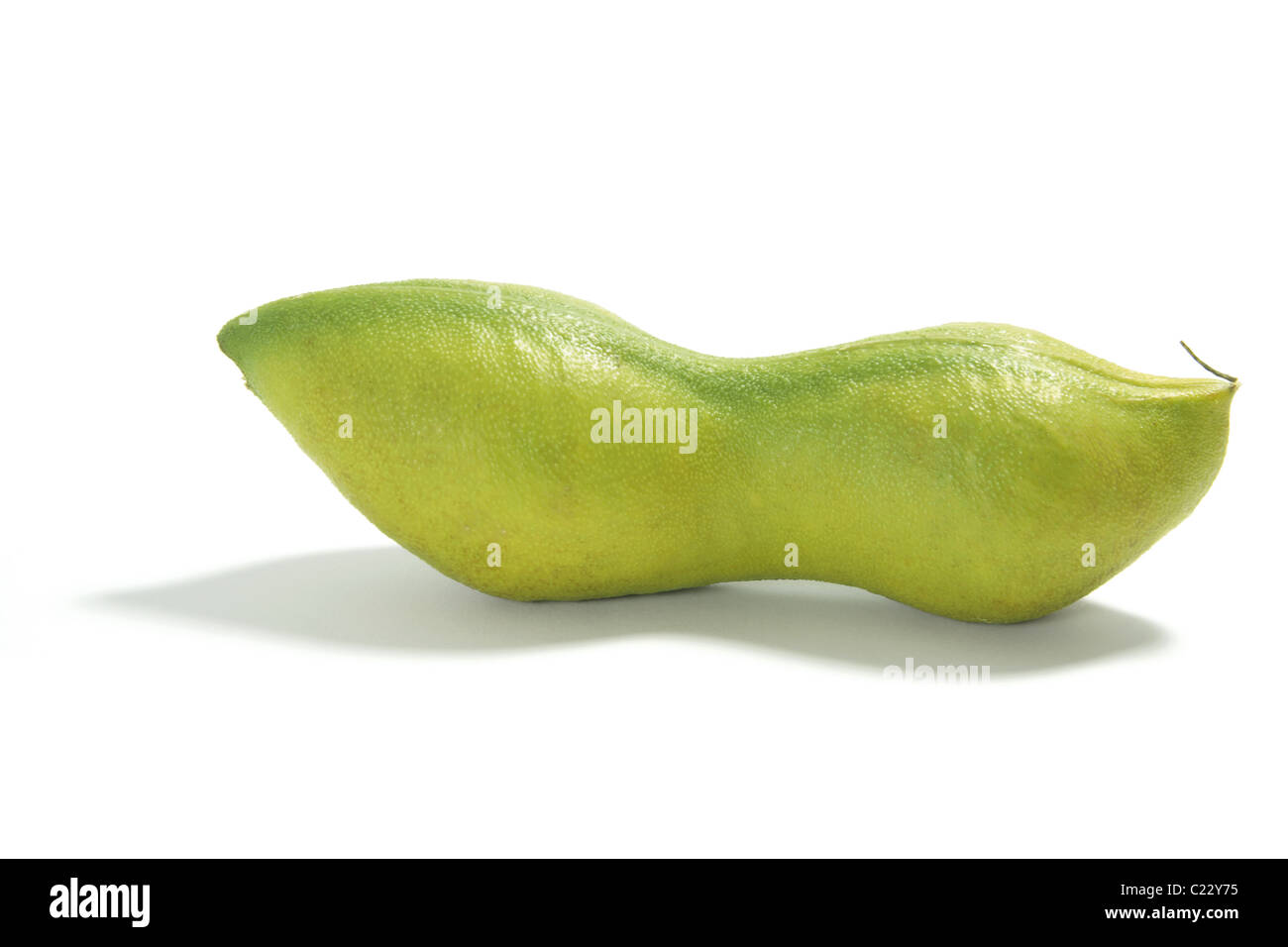 Black Bean Seed Pod Stock Photo - Alamy