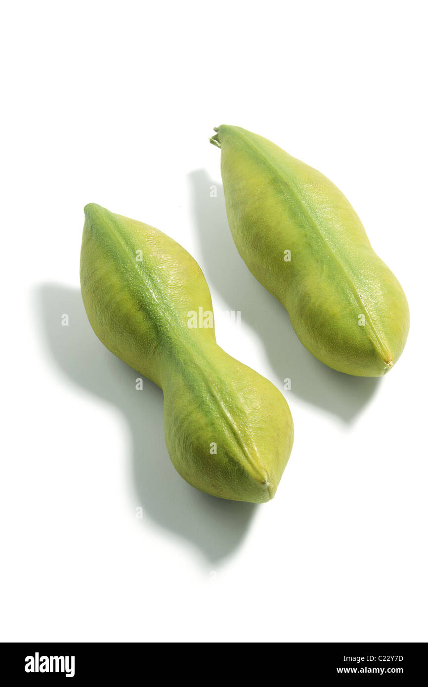 Black Seed Pods High Resolution Stock Photography and Images - Alamy