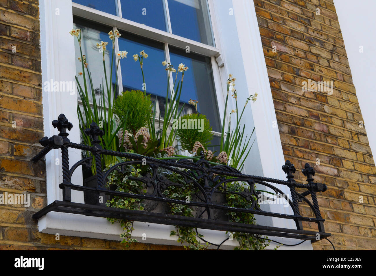 Serene window in Kensington, London, UK Stock Photo - Alamy