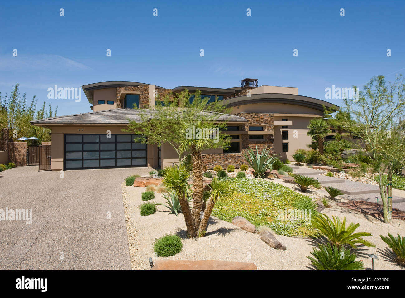 Driveway palm tree hi-res stock photography and images - Alamy