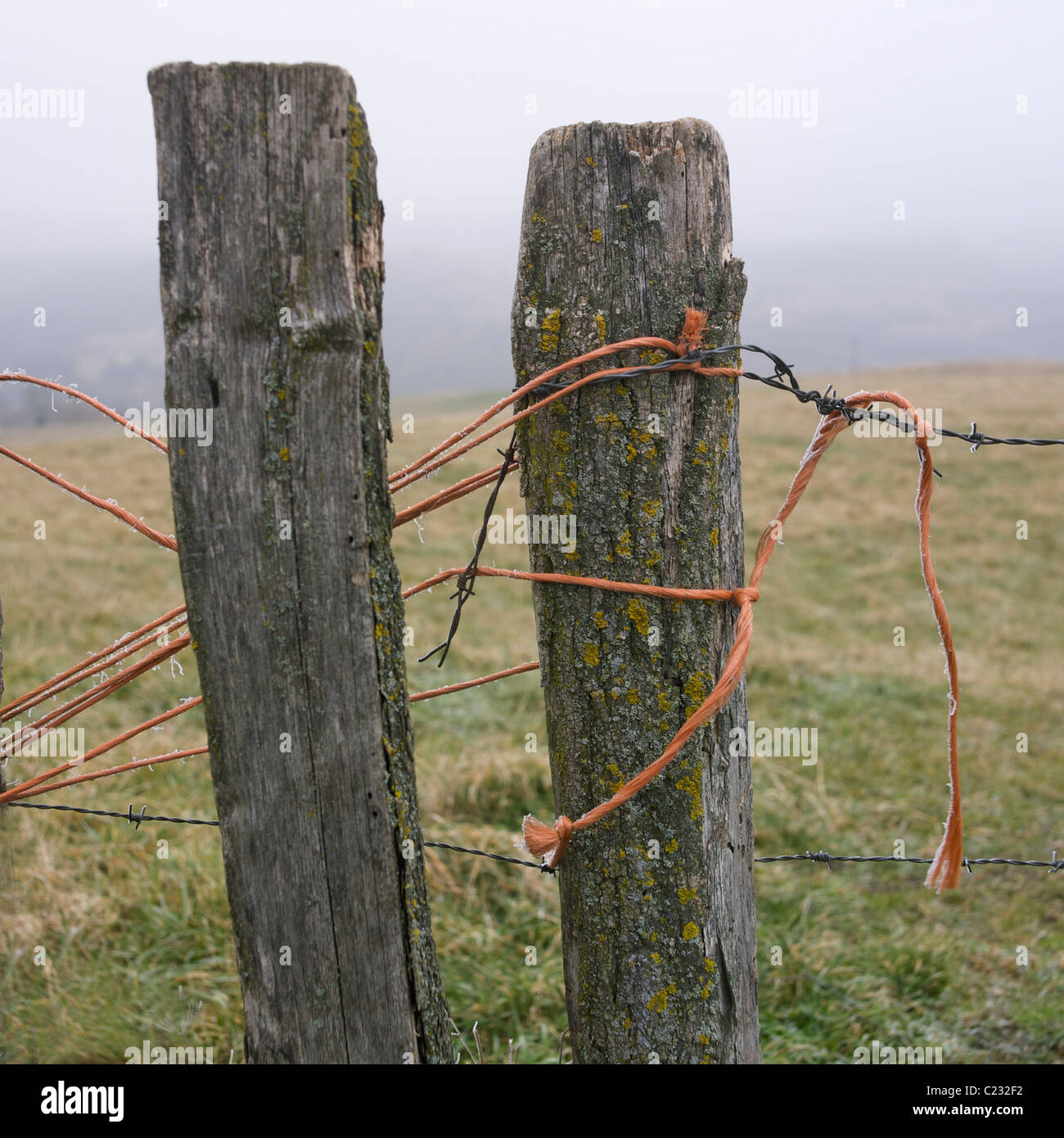 Barbed wire attached to wood hi-res stock photography and images - Alamy