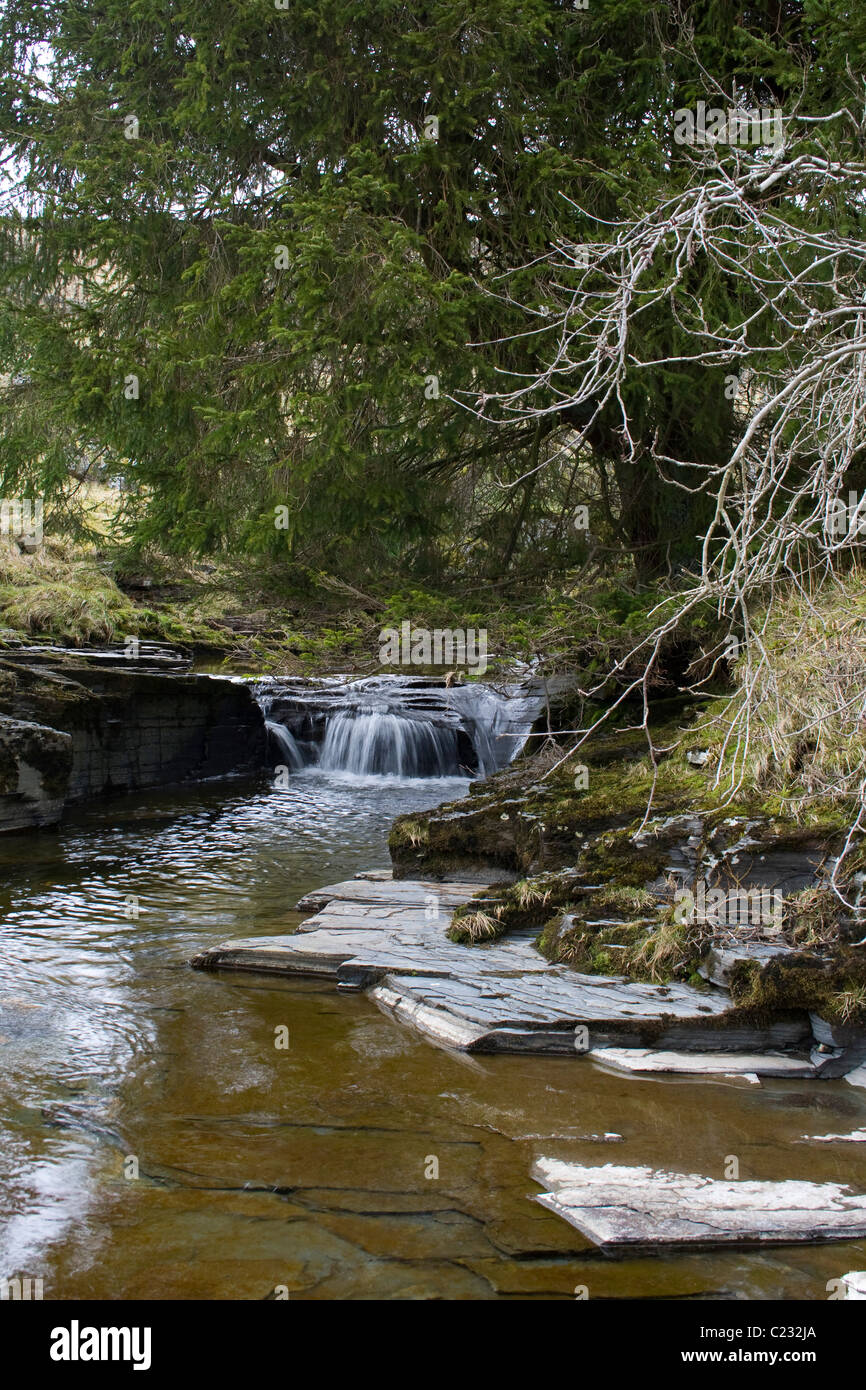 Ashgill force waterfall hi-res stock photography and images - Alamy