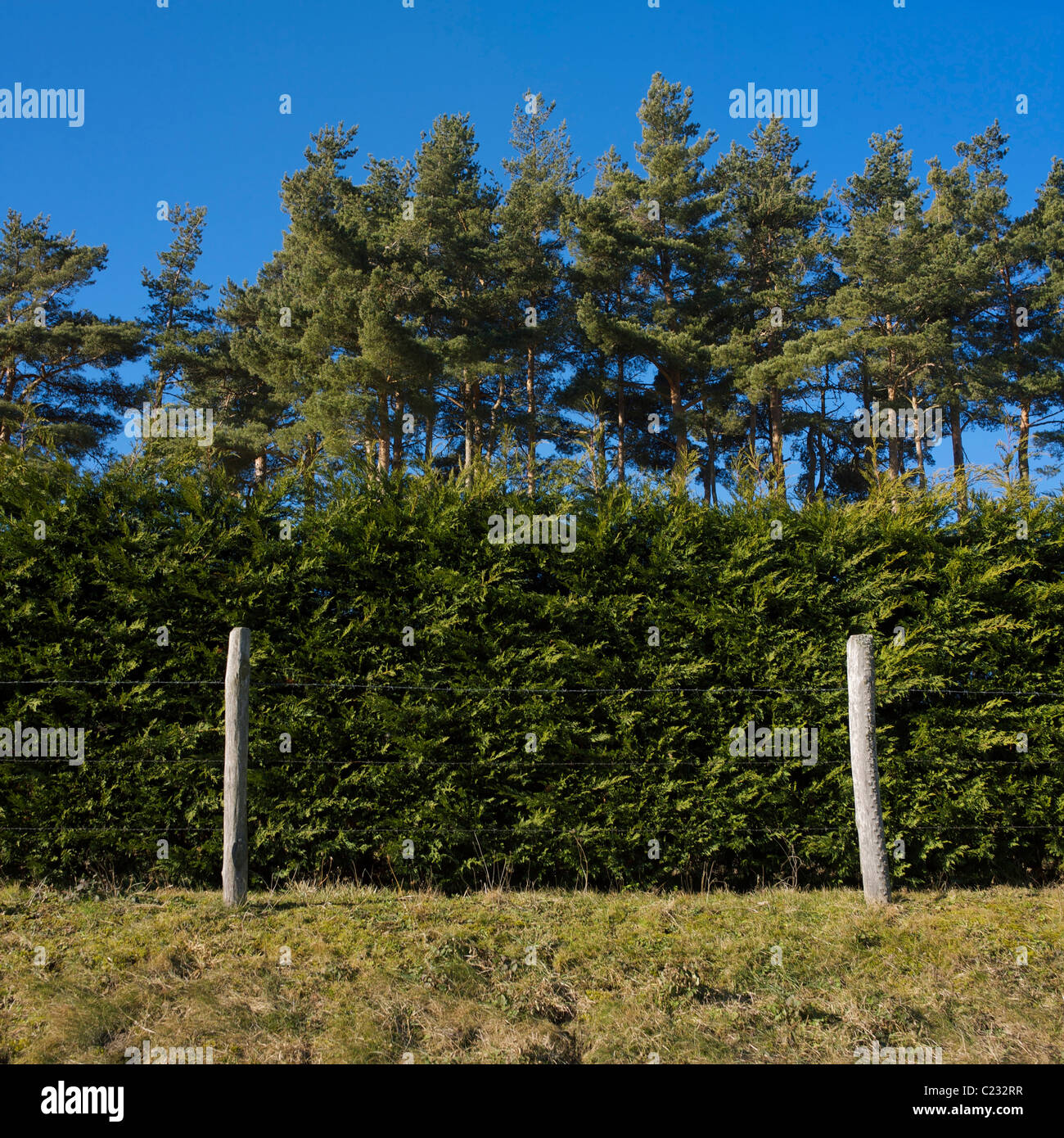 Hurdle and fence posts Stock Photo - Alamy