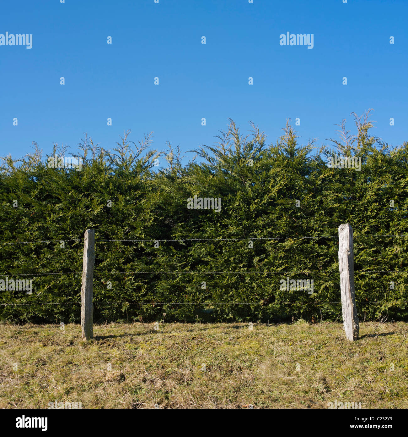 Hurdle fence garden hi-res stock photography and images - Alamy