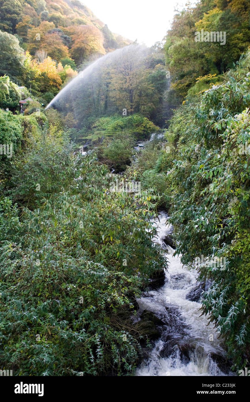 Glen lyn gorge, lynmouth hi-res stock photography and images - Alamy