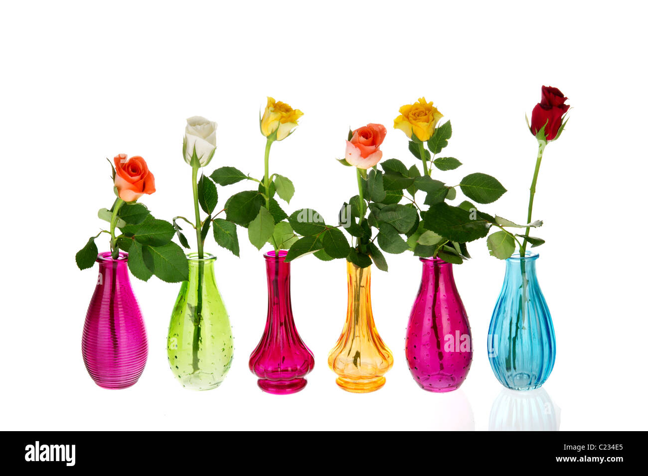Row with colorful roses in modern vases Stock Photo - Alamy
