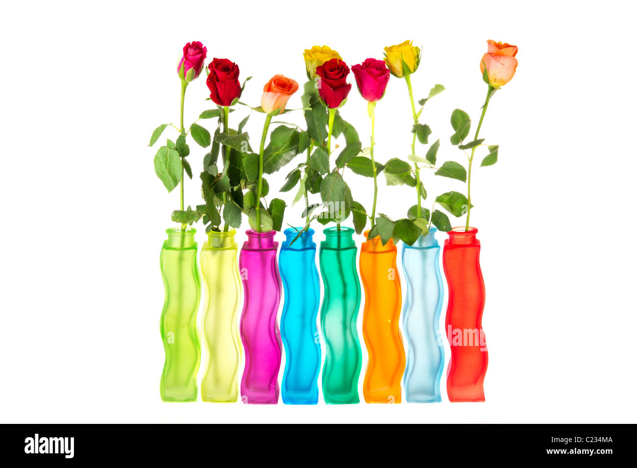 Row with colorful roses in modern vases Stock Photo - Alamy