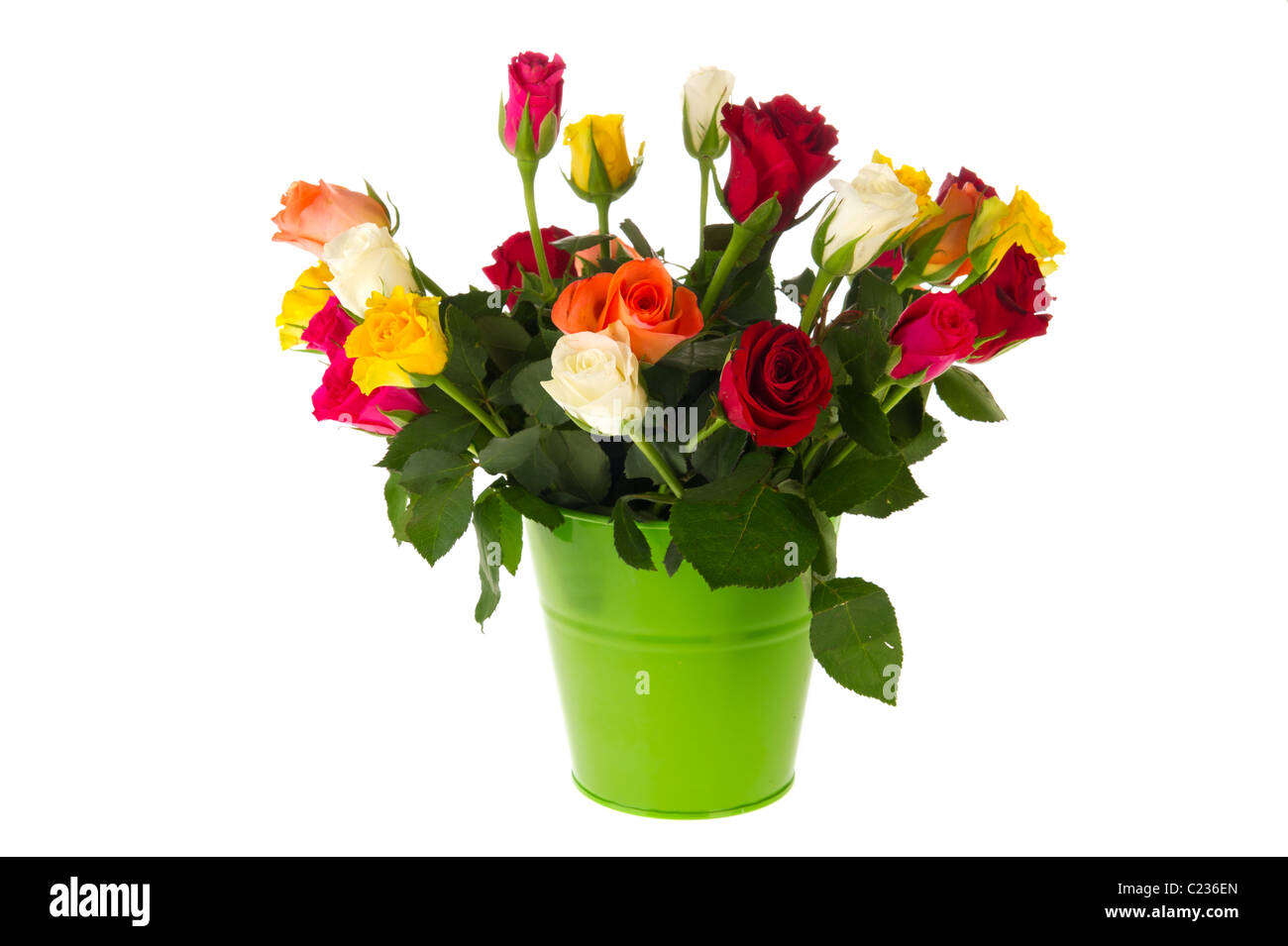 colorful bouquet roses in green bucket on white background Stock Photo ...