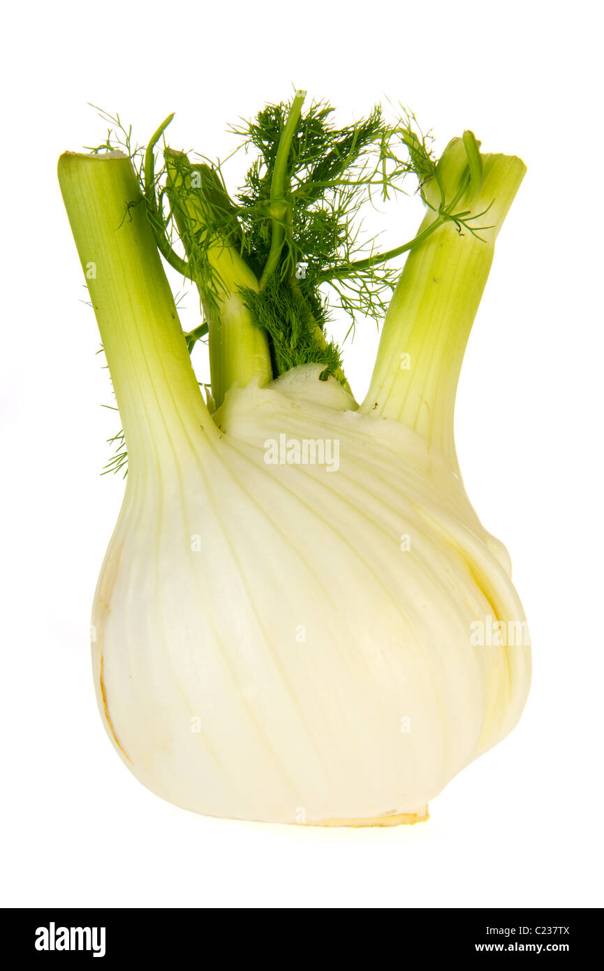 Isolated fresh fennel with green leaves on white background Stock Photo ...