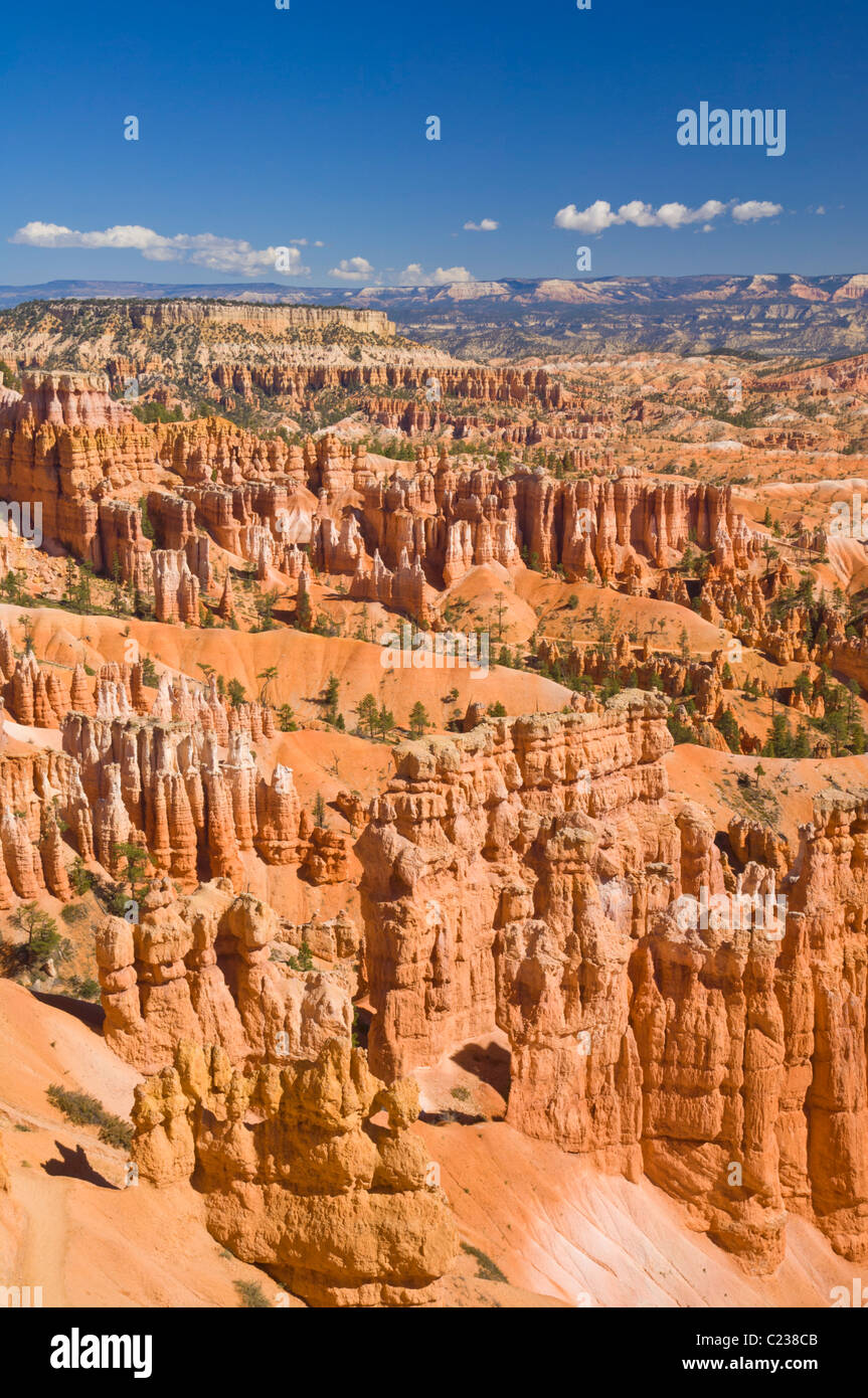 Sandstone Hoodoos in Bryce Canyon Amphitheatre Utah USA United States ...
