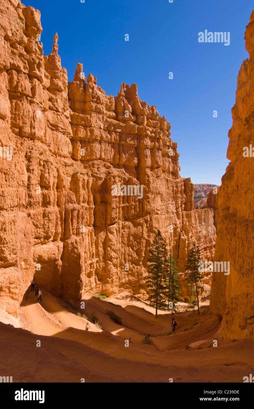 Navajo loop bryce canyon tourist hi-res stock photography and images ...