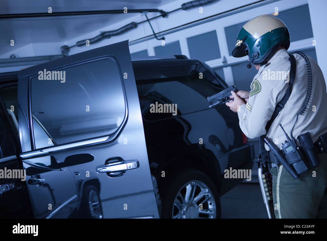Car garage with green door hi-res stock photography and images - Alamy