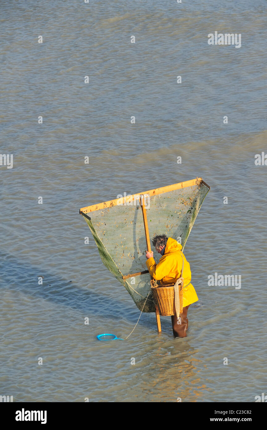 Shrimping