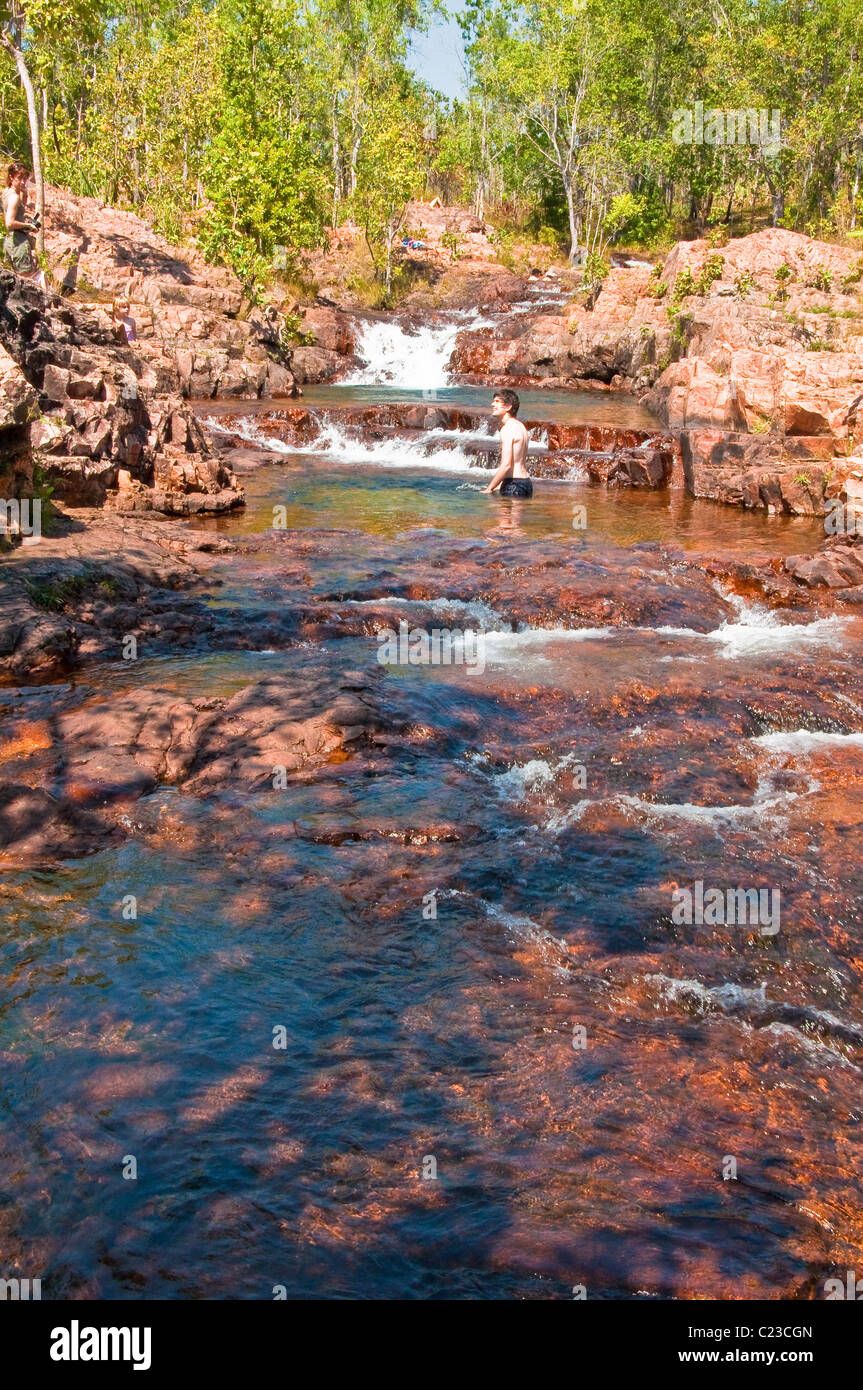Kakadu forest hi-res stock photography and images - Alamy