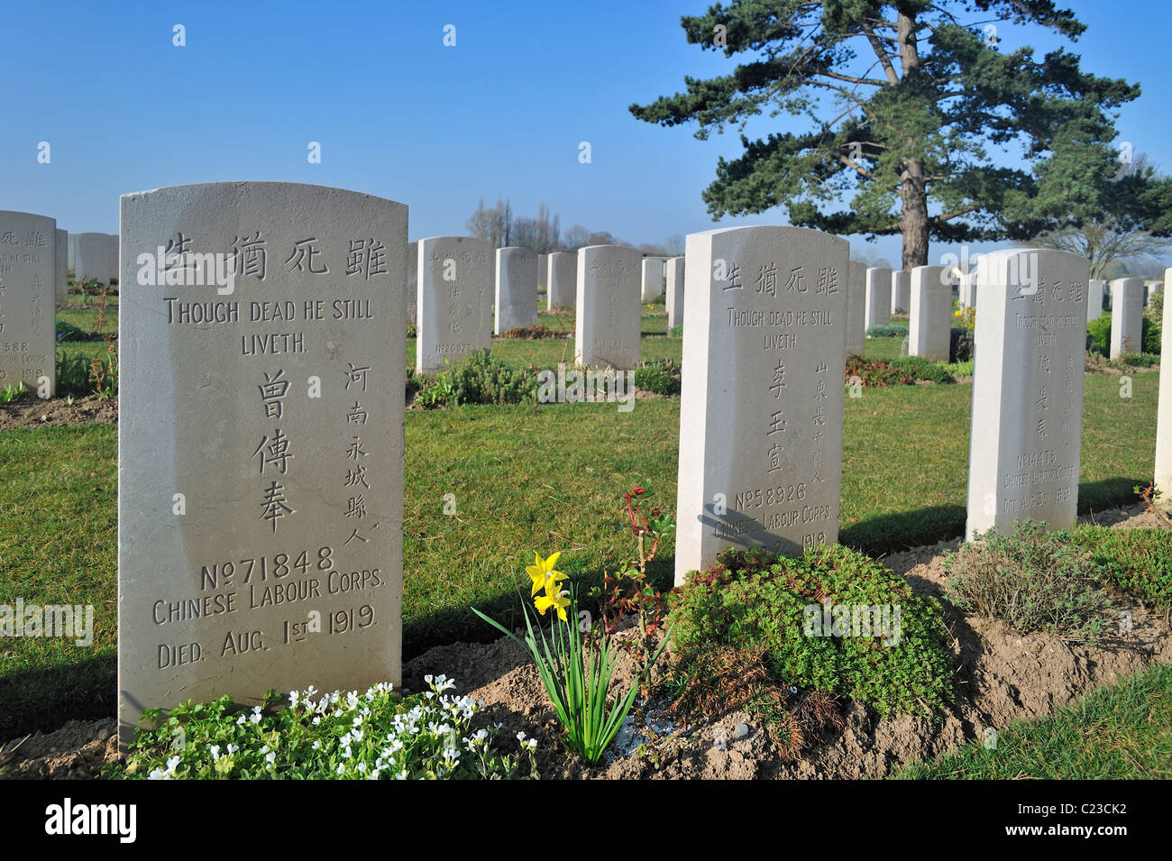 Headstones at First World War One cemetery of Chinese WW1 labourers at ...