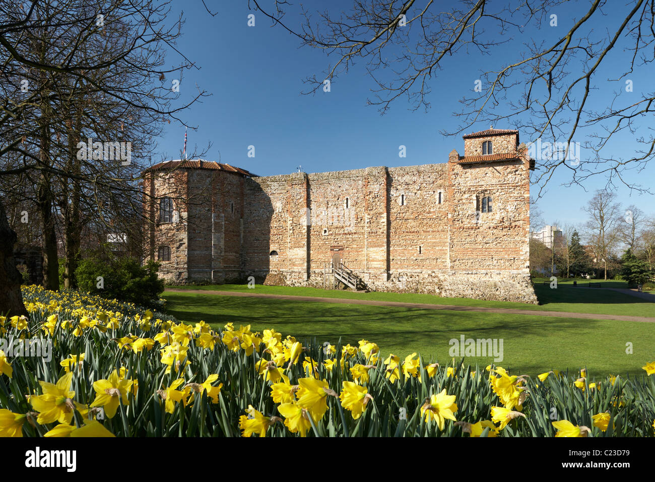 Colchester Castle Museum High Resolution Stock Photography and Images ...
