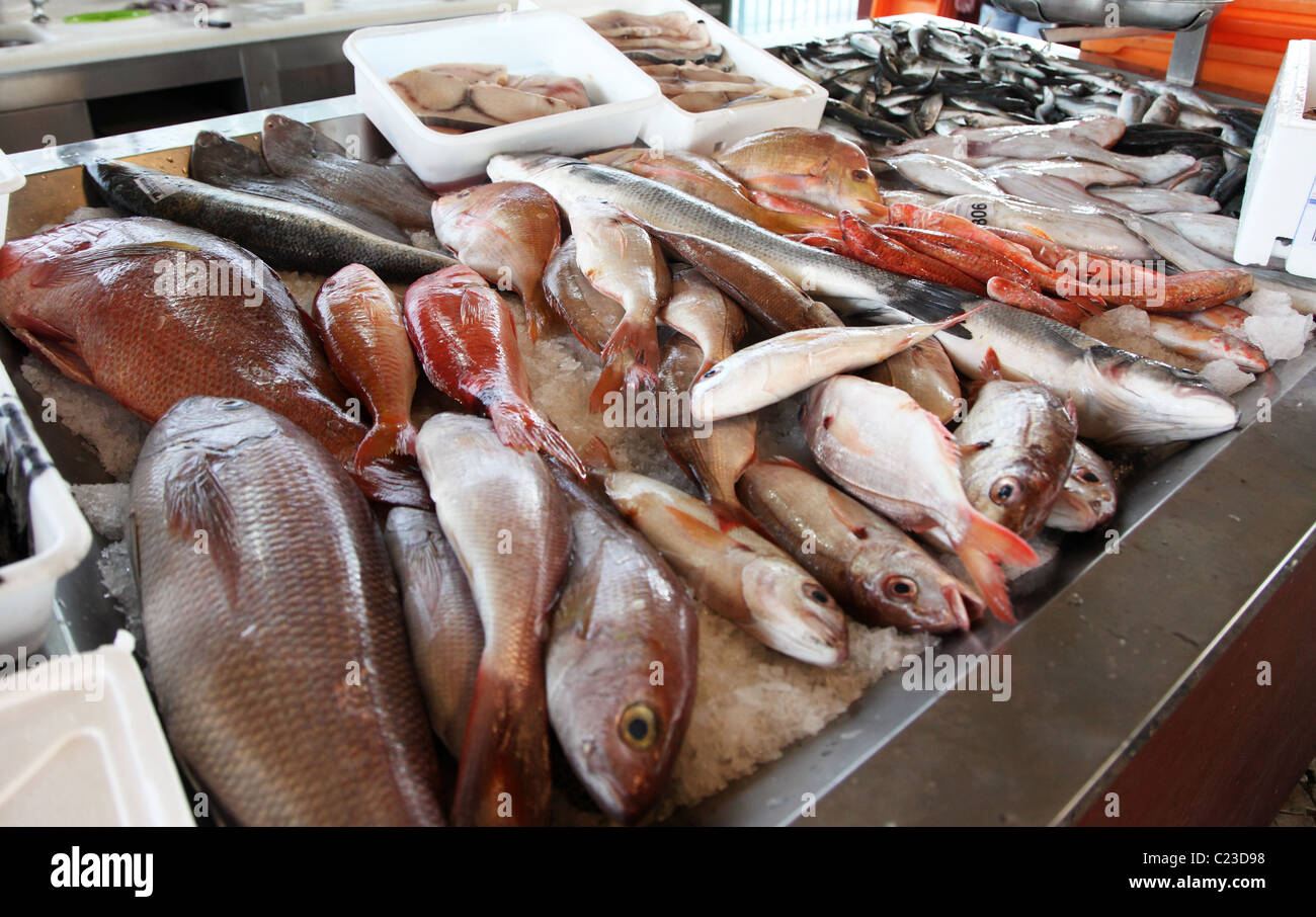 fishmarket, Aveiro, Portugal Stock Photo - Alamy