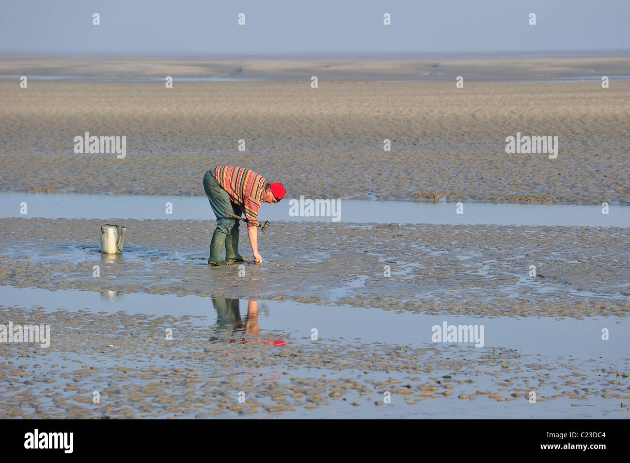 Clam shell in bucket High Resolution Stock Photography and Images - Alamy