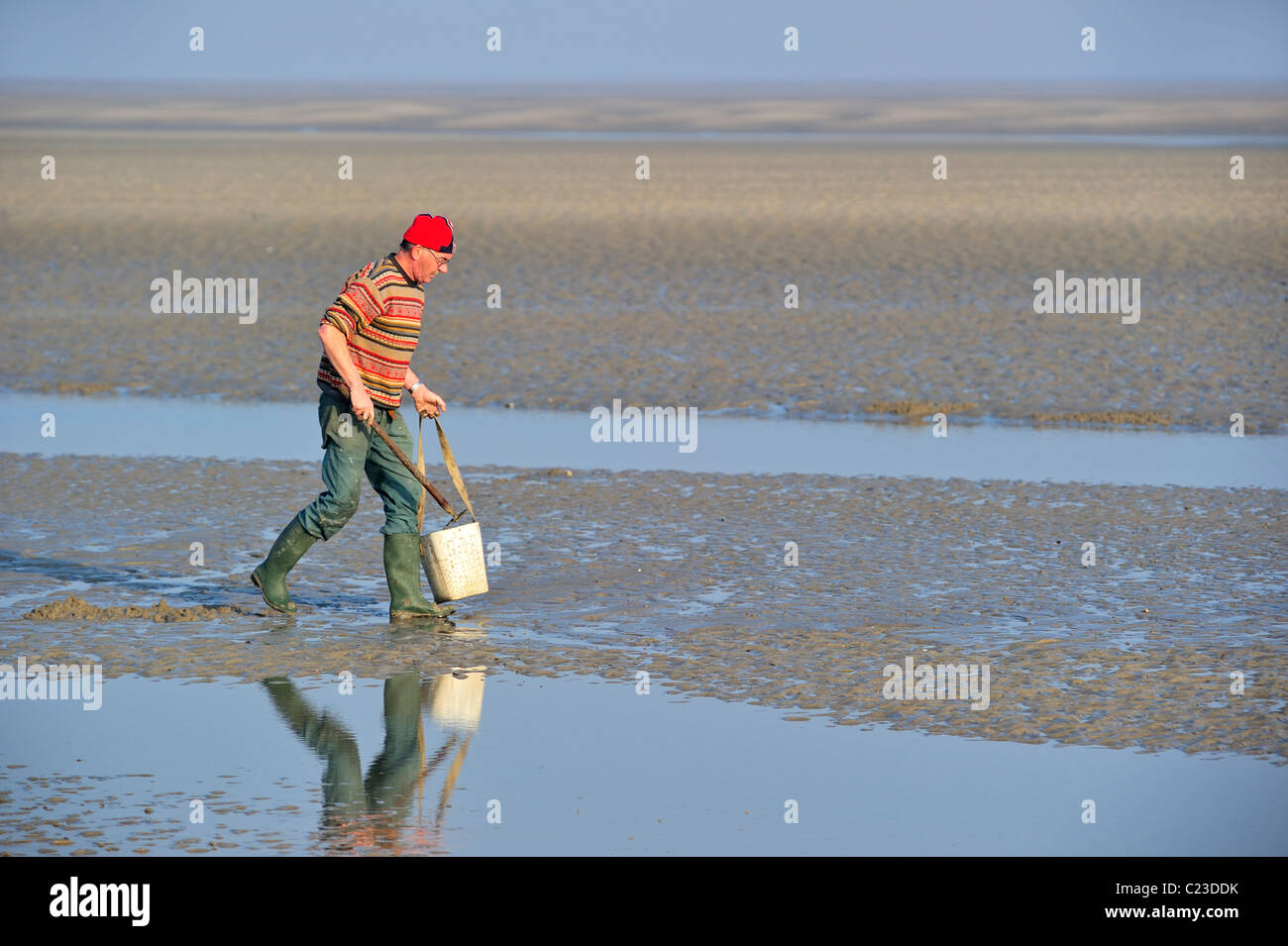 Clam shell in bucket High Resolution Stock Photography and Images - Alamy