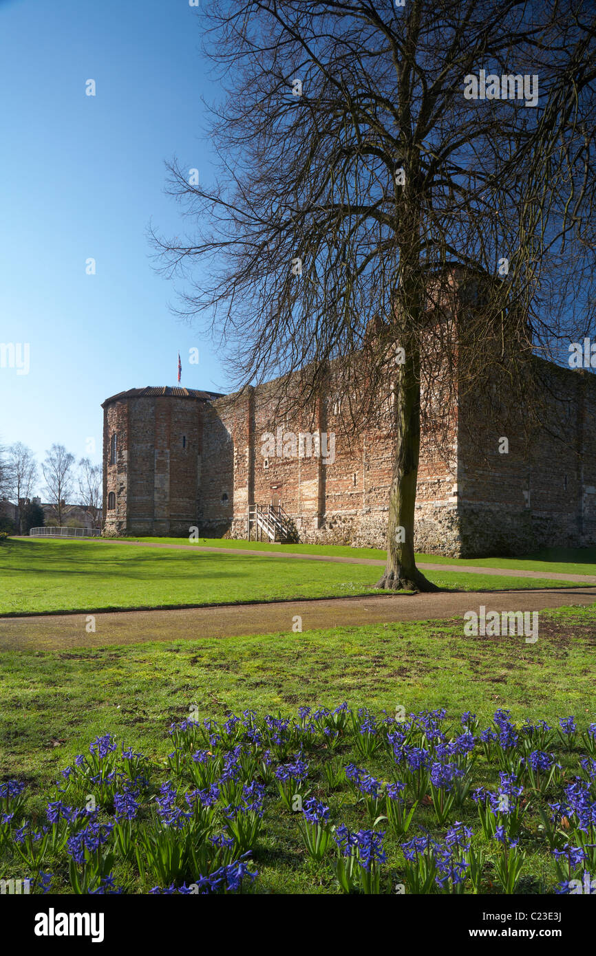 Colchester Castle Museum Essex Great Britain England Stock Photo - Alamy
