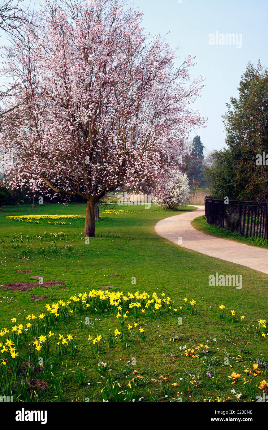 The Cremorne Ellesmere Shropshire Salop England UK United Kingdom EU ...