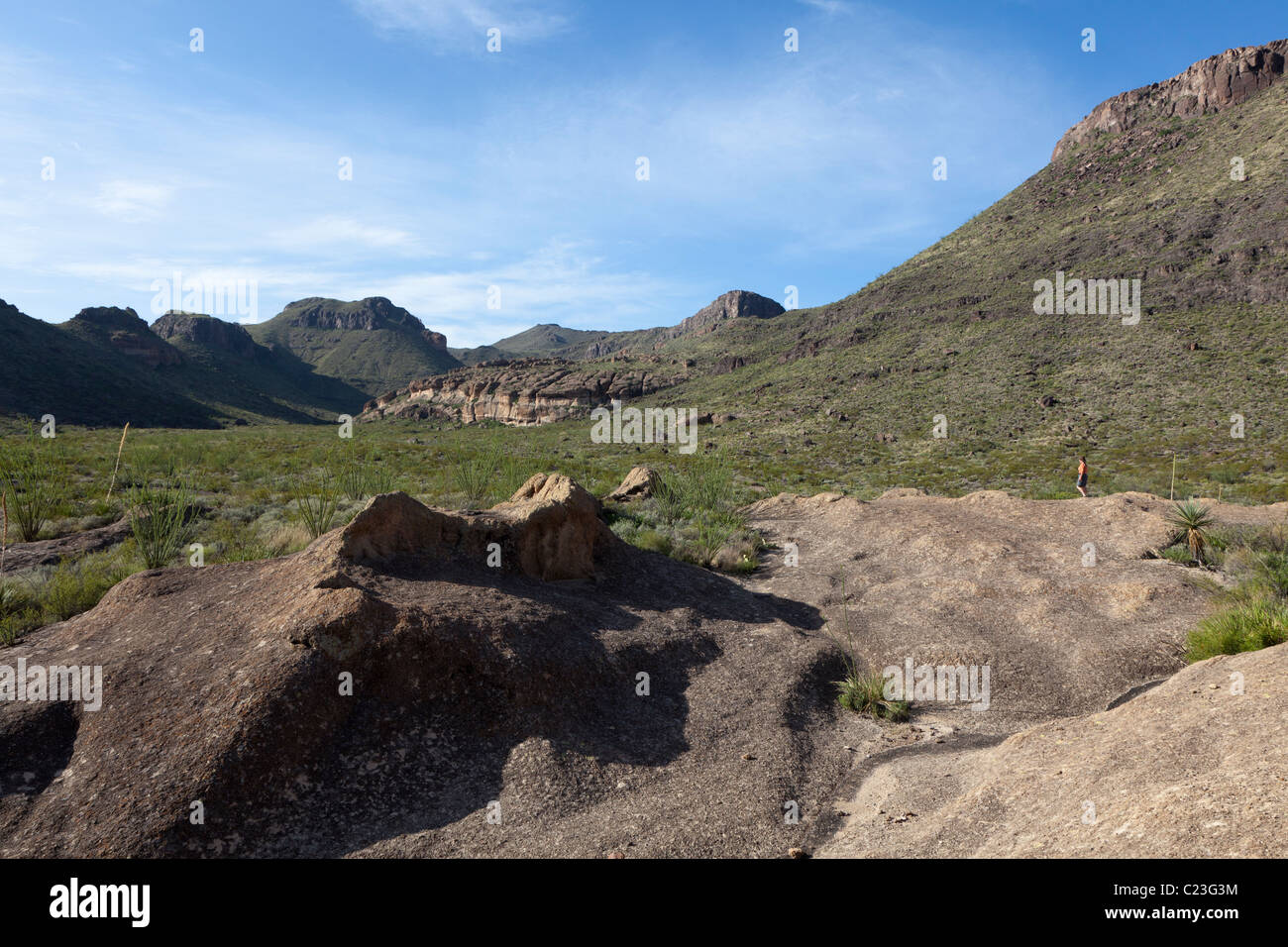Big bend ranch hi-res stock photography and images - Alamy