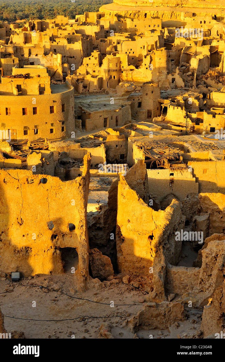 Fortification of Shali in Siwa oasis, western desert, Egypt Stock Photo ...