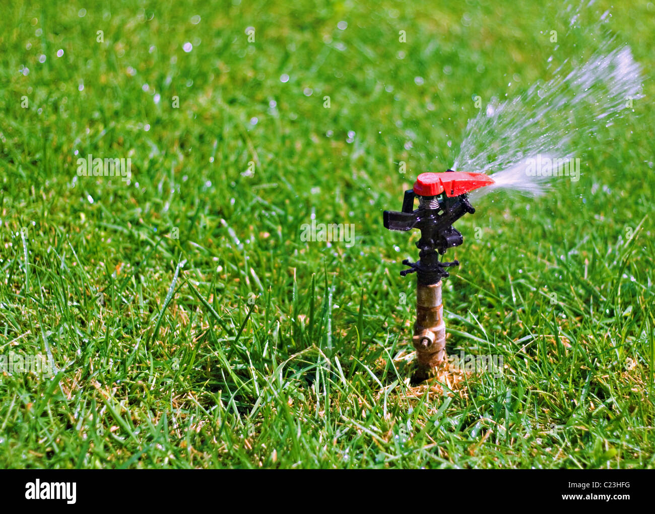 Garden lawn water sprinkler Stock Photo - Alamy