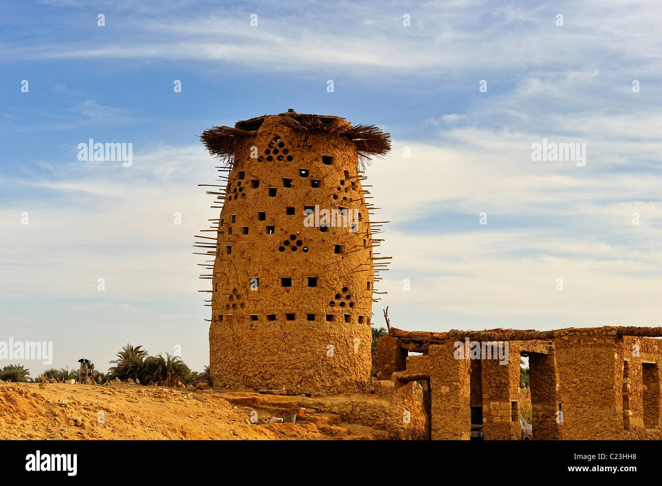 Pigeon loft or dovecote in the town of Siwa, western desert, Egypt ...