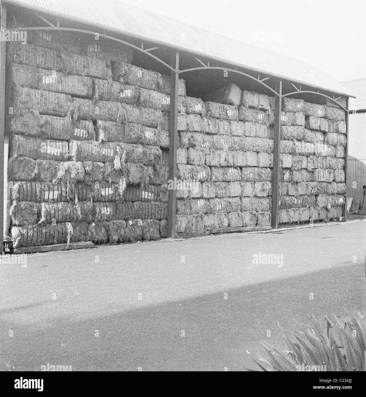 Wood pulp bales hi-res stock photography and images - Alamy