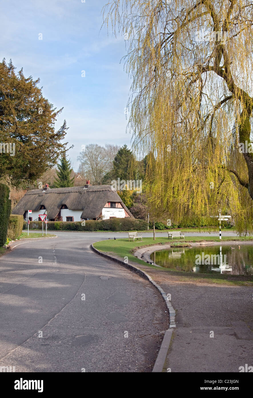 Cottage and Village Duck Pond, Crawley, Hampshire Stock Photo - Alamy