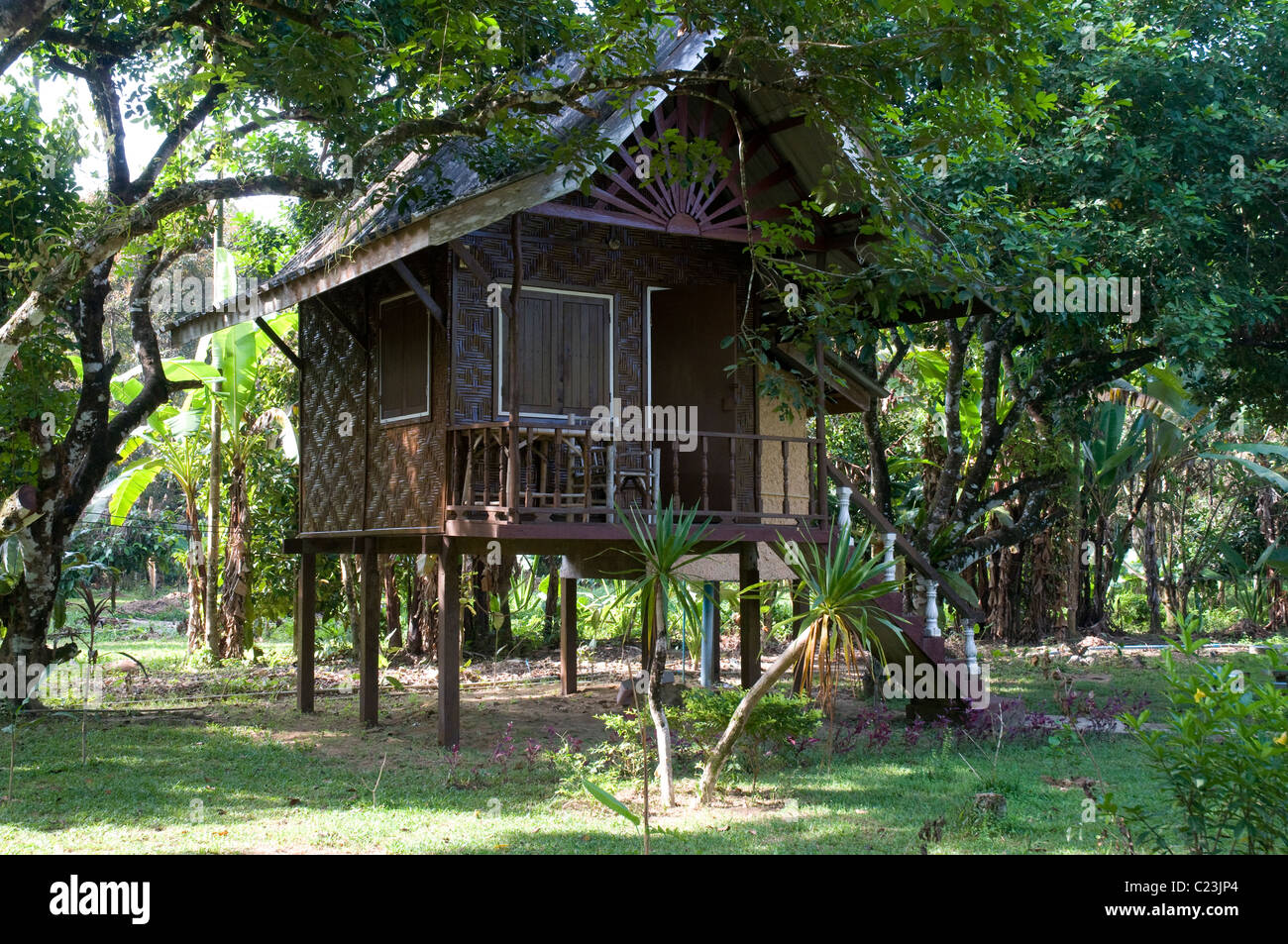 Tree huts, Khao Sok National Park, Southern Thailand Stock Photo - Alamy