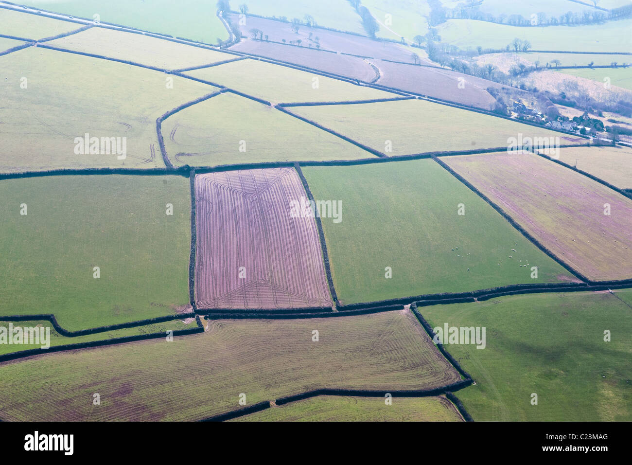 Aerial photograph of fields in Cornwall, separated by hedges. One field ...