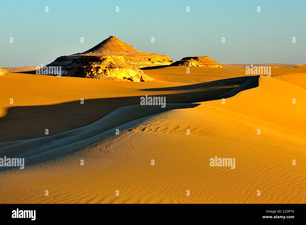 Dunes in the Great Sand Sea, Western Desert (Lybian Desert), Egypt ...