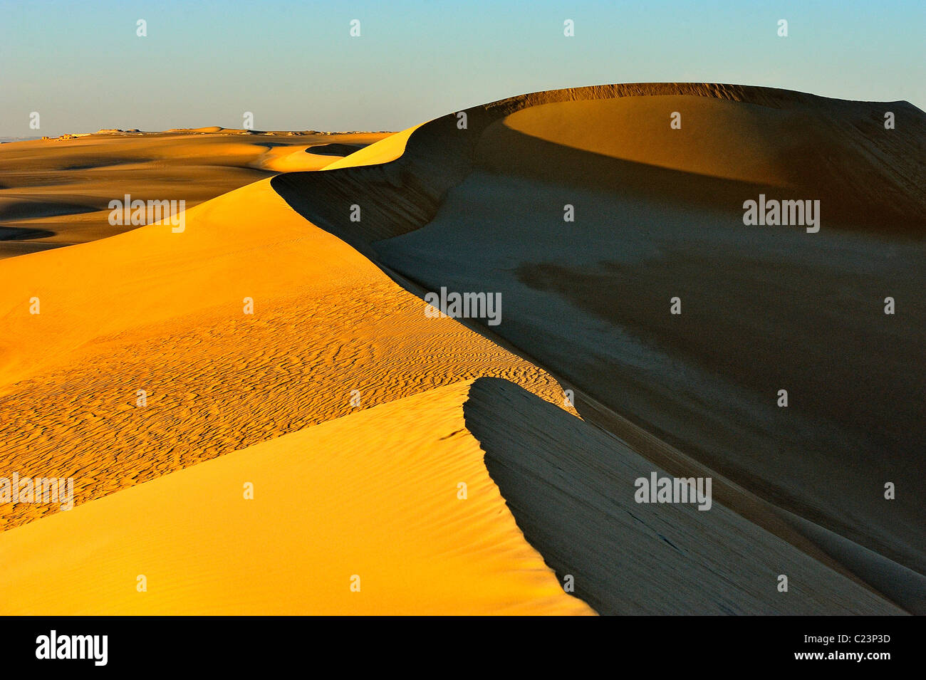 Dunes in the Great Sand Sea, Western Desert (Lybian Desert), Egypt ...