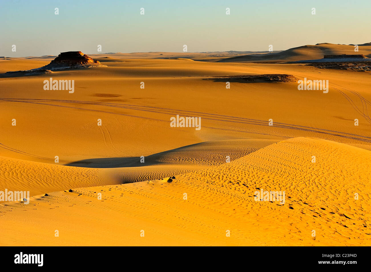 Dunes in the Great Sand Sea, Western Desert (Lybian Desert), Egypt ...