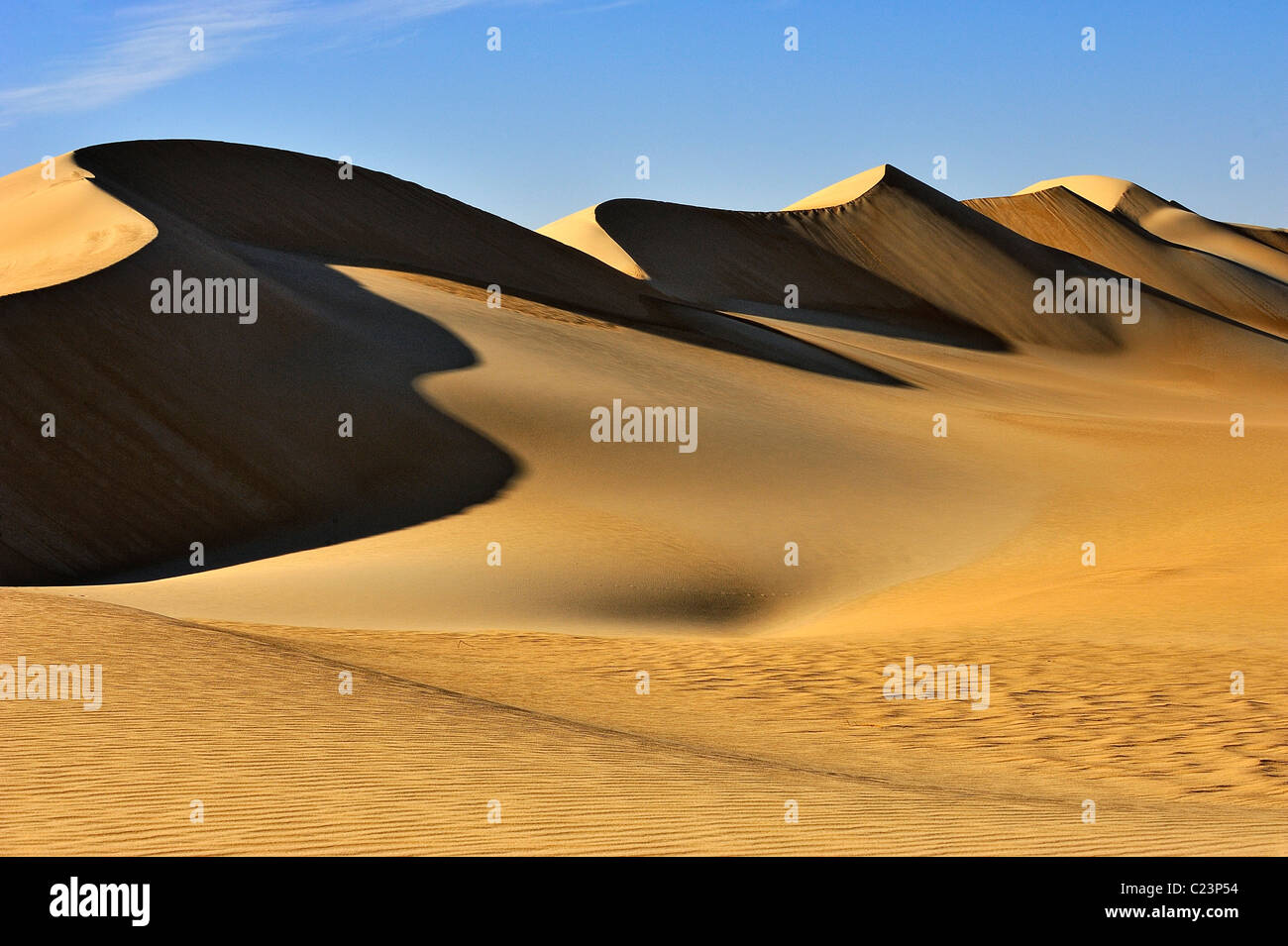 Dunes in the Great Sand Sea, Western Desert (Lybian Desert), Egypt ...