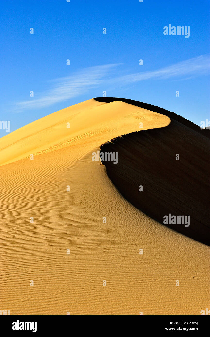 Dunes in the Great Sand Sea, Western Desert (Lybian Desert), Egypt ...