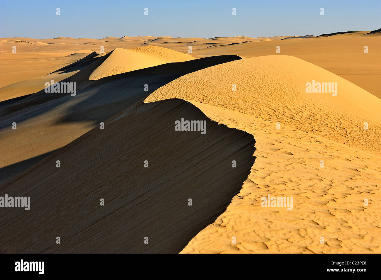 Dunes in the Great Sand Sea, Western Desert (Lybian Desert), Egypt ...