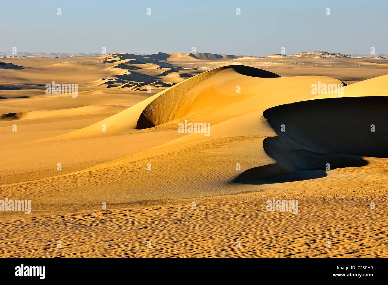 Dunes in the Great Sand Sea, Western Desert (Lybian Desert), Egypt ...