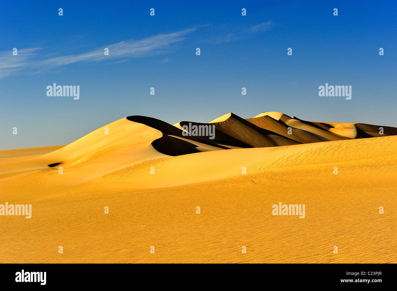 Dunes in the Great Sand Sea, Western Desert (Lybian Desert), Egypt ...