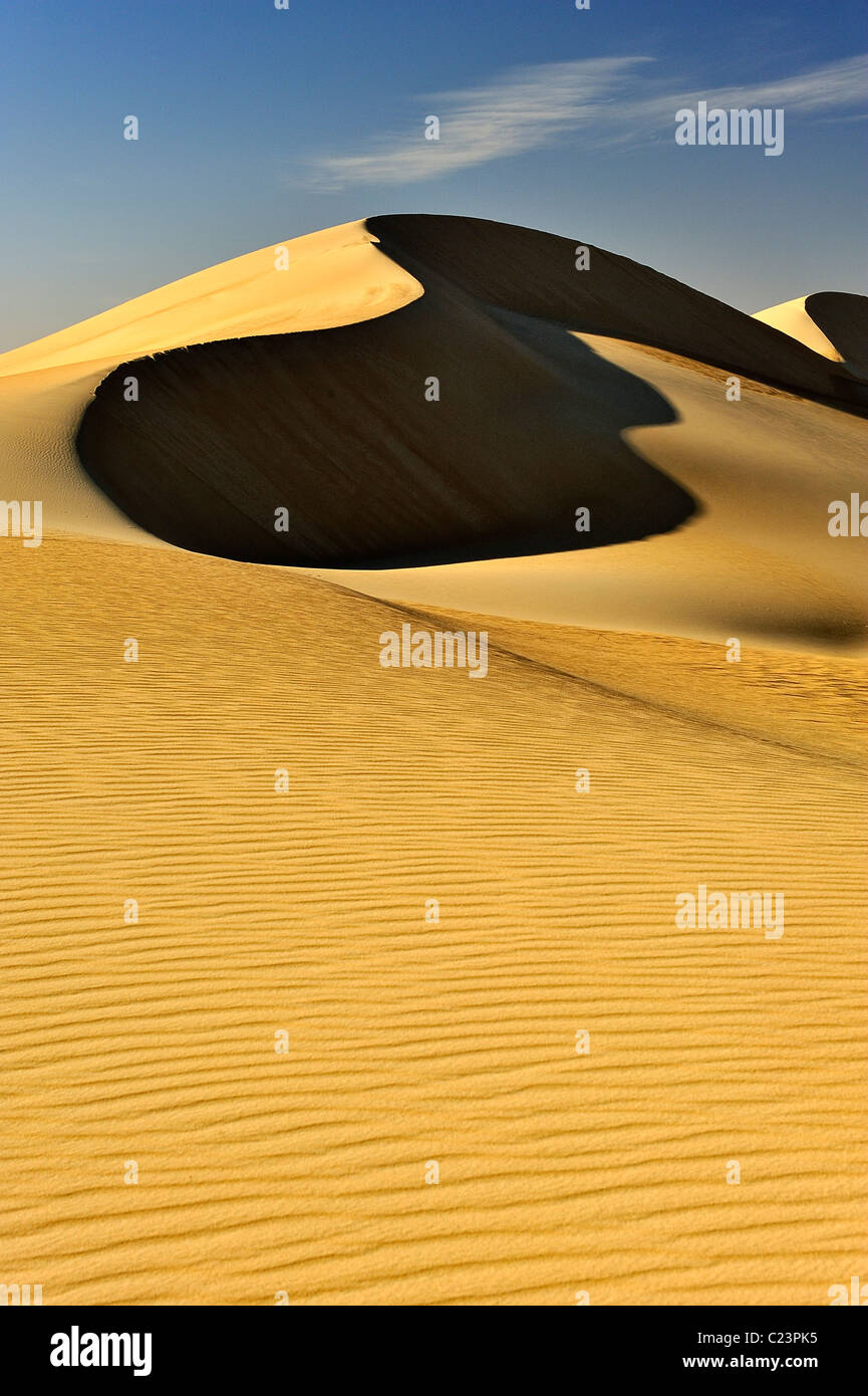Dunes in the Great Sand Sea, Western Desert (Lybian Desert), Egypt ...